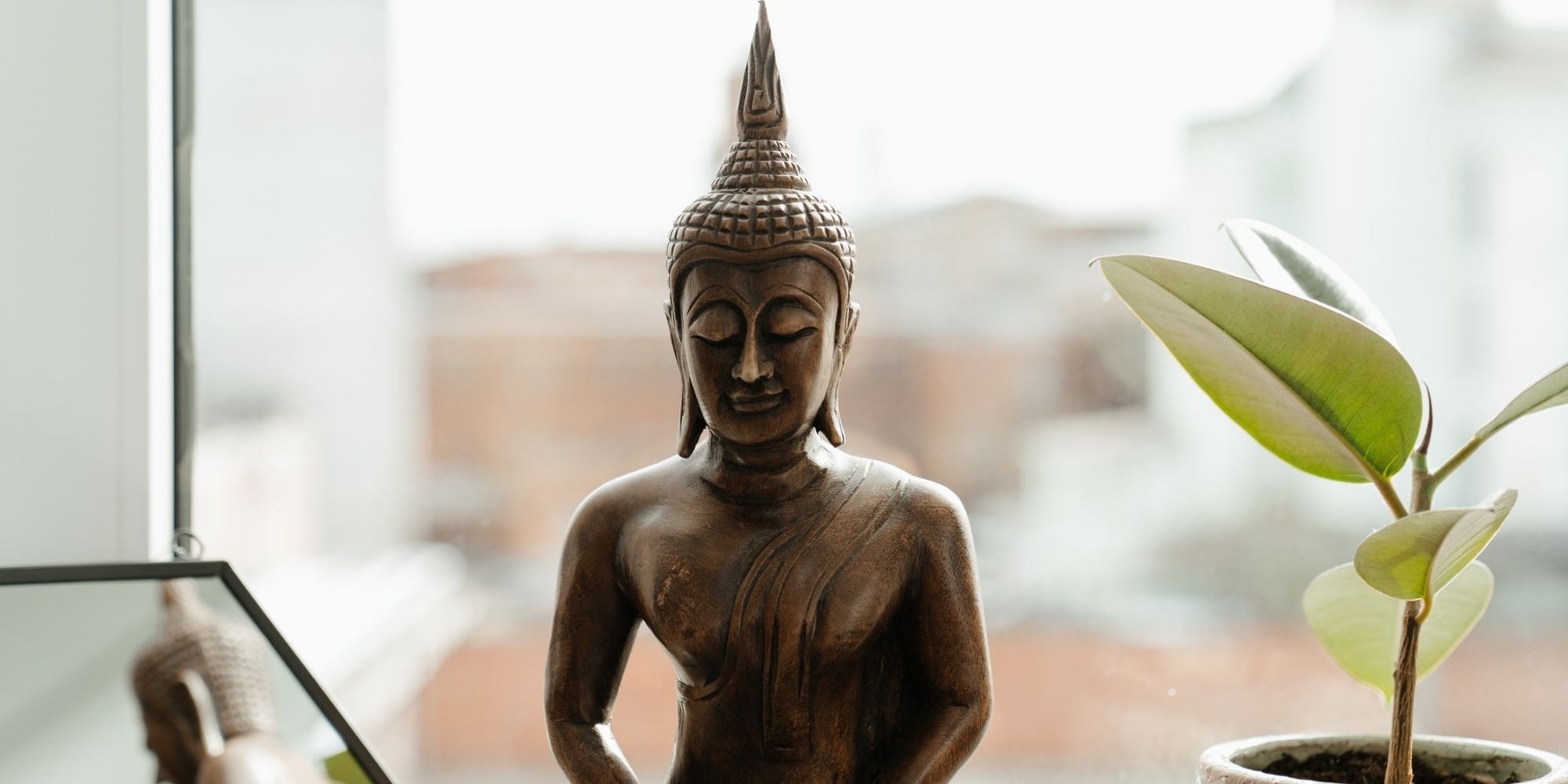 (3)The Story Of Buddha-Siddhartha Part 1-2 – Zenbless